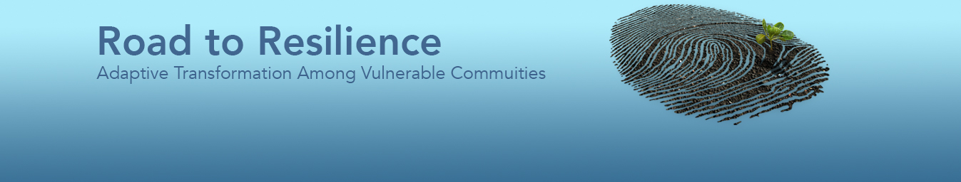 Road to Resilience - Jinnah Institute